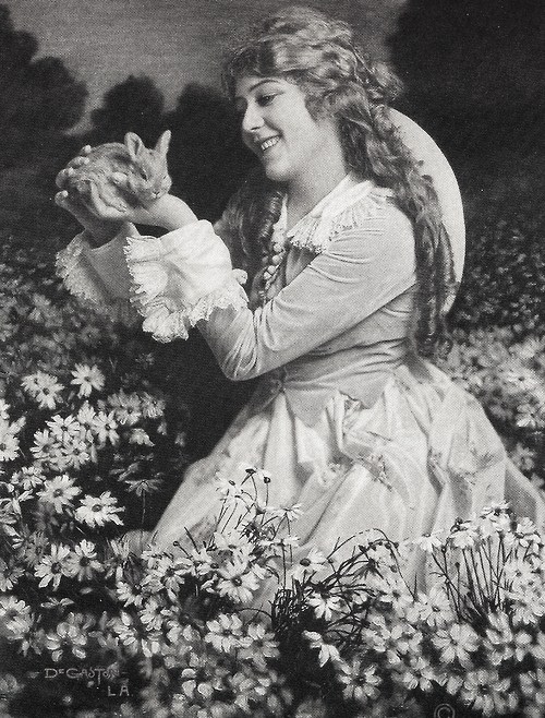 My brush with Mary Pickford at Winthrop University | Comet Over Hollywood