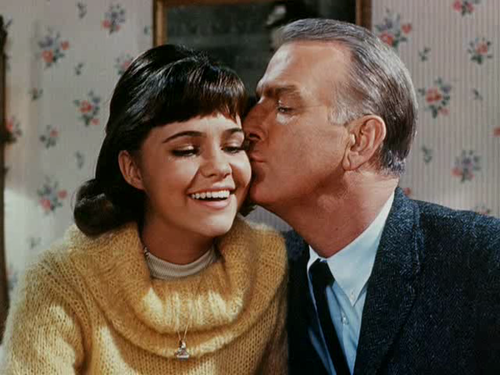 Review: Gidget TV series (1965-1966) | Comet Over Hollywood